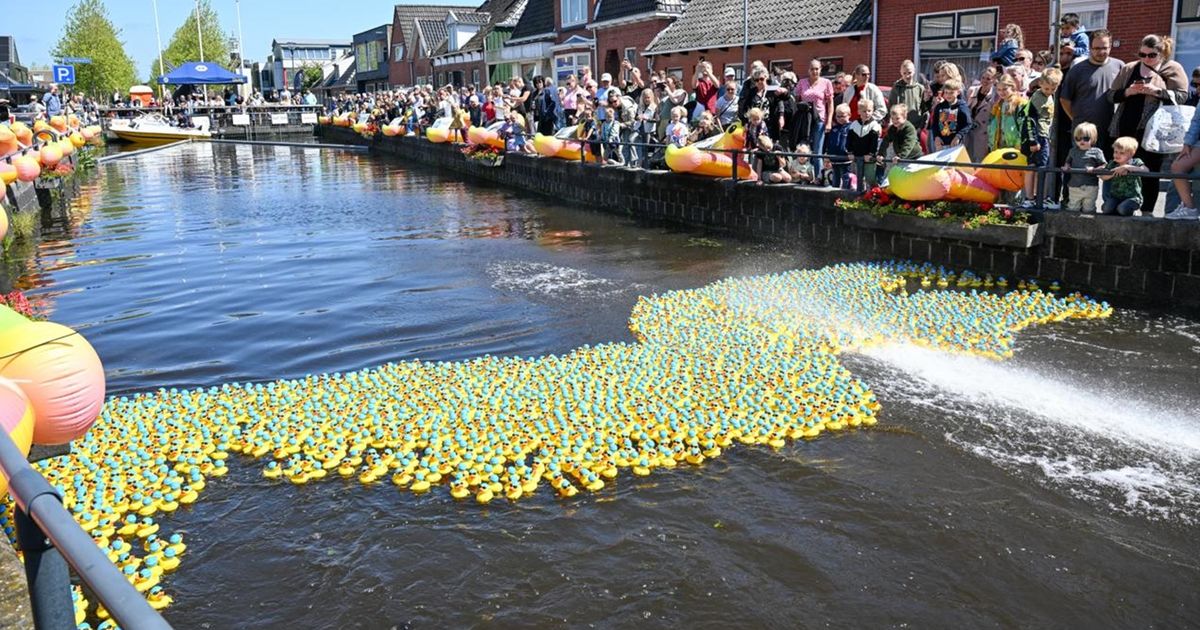 Race met 3.500 badeendjes in Leek trekt veel bekijks en levert geld ...