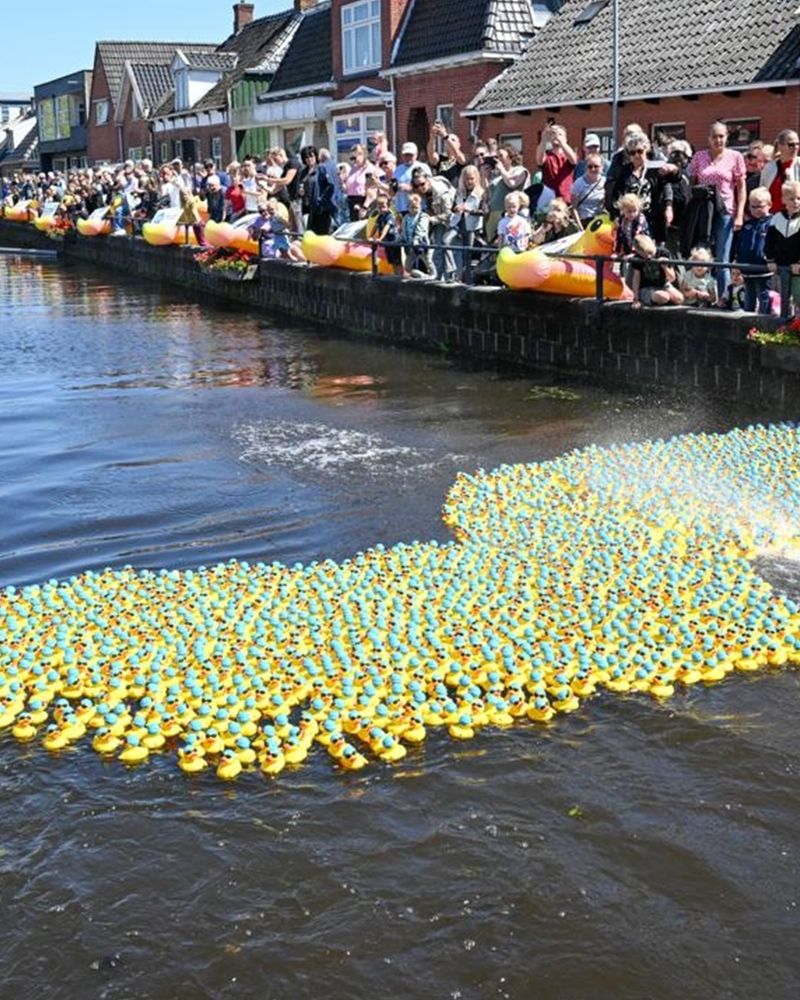 Race met 3.500 badeendjes in Leek trekt veel bekijks en levert geld ...