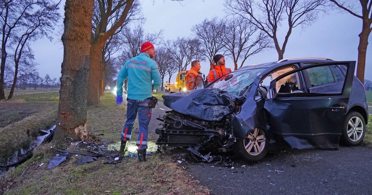 Auto botst frontaal tegen boom bij Wapserveen, bestuurder gewond - RTV Drenthe
