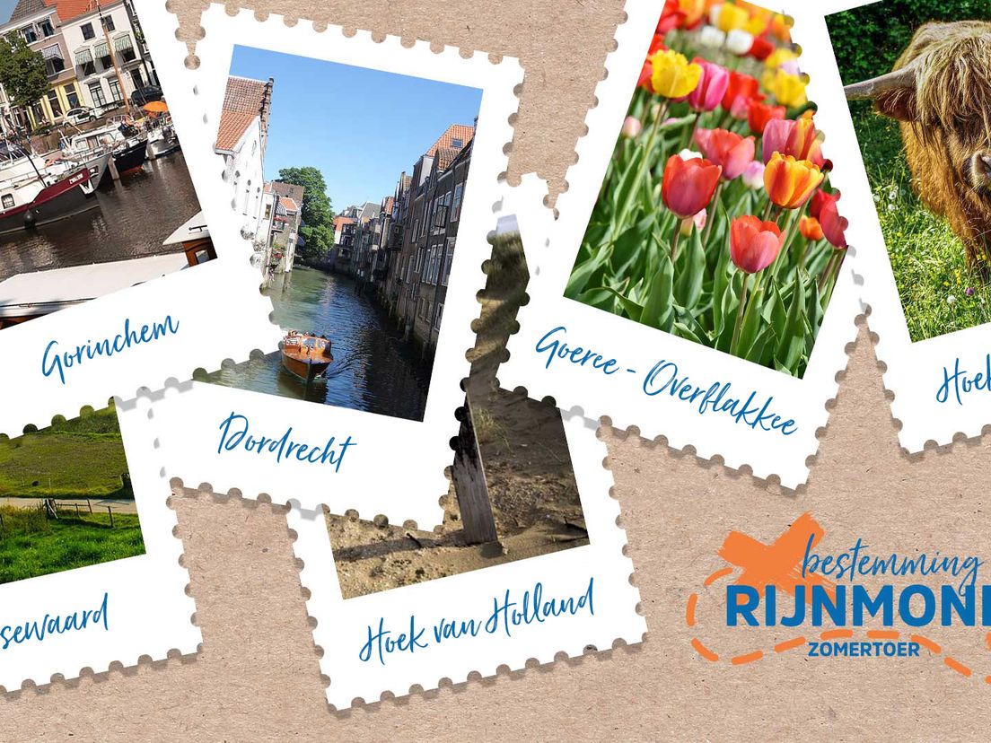 Zomertoer, Bestemming Rijnmond: zo vier je vakantie in eigen regio ...