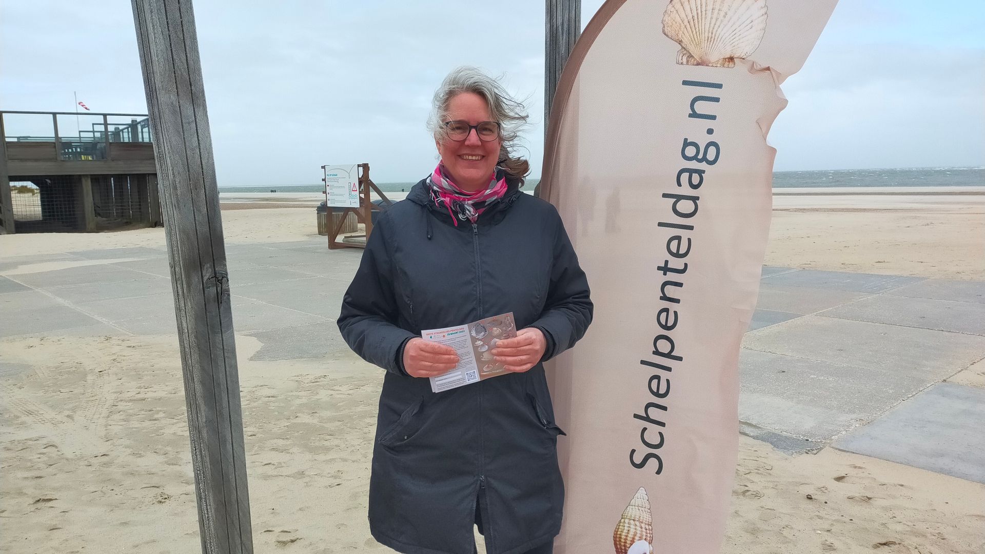 Schelpen geteld op Nederlandse, Belgische en Franse stranden, maar dat ...