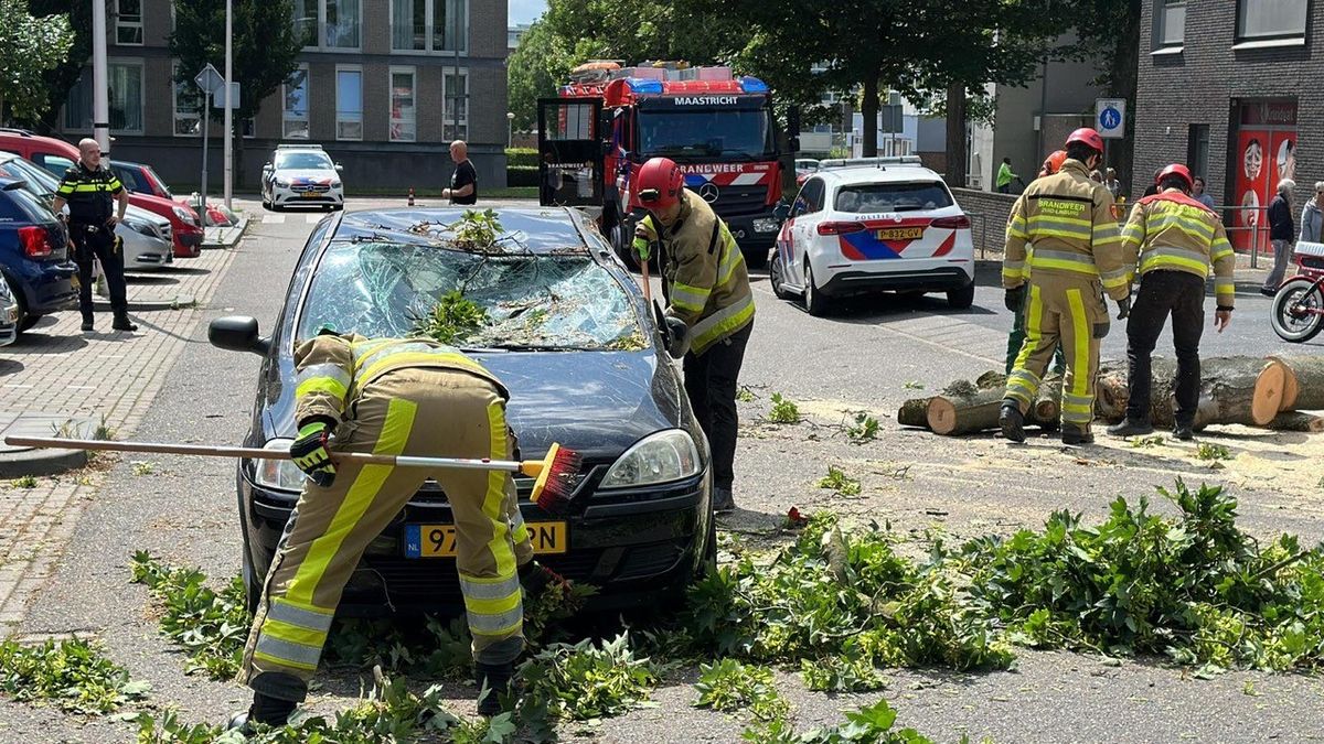 Stormschade: boom valt op auto met gezin - L1 Nieuws