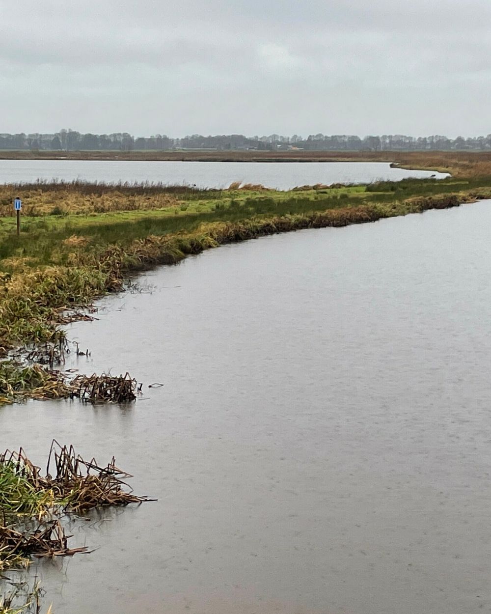 Regen, regen, regen: gemalen waterschappen draaien op volle toeren ...