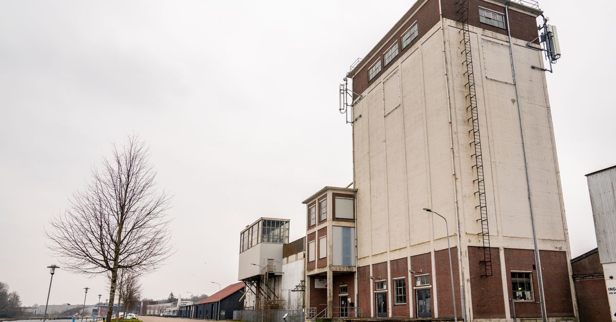 Waarom de Asser graansilo's monumenten zijn geworden - RTV Drenthe