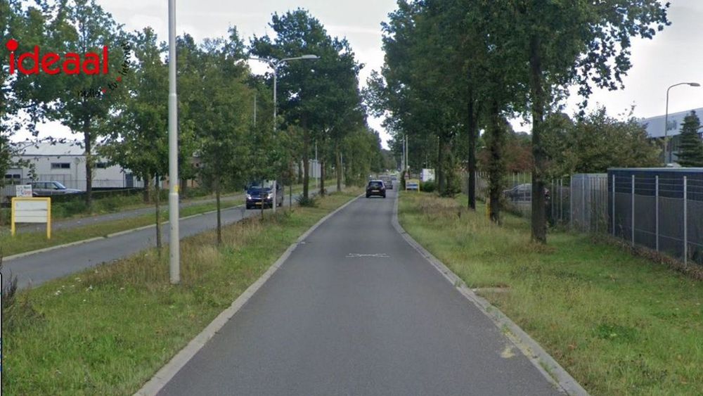 Snoeien van bomen langs de N319 zorgt voor verkeershinder - Omroep ...