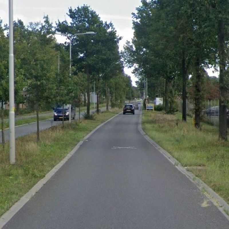 Snoeien van bomen langs de N319 zorgt voor verkeershinder - Omroep ...