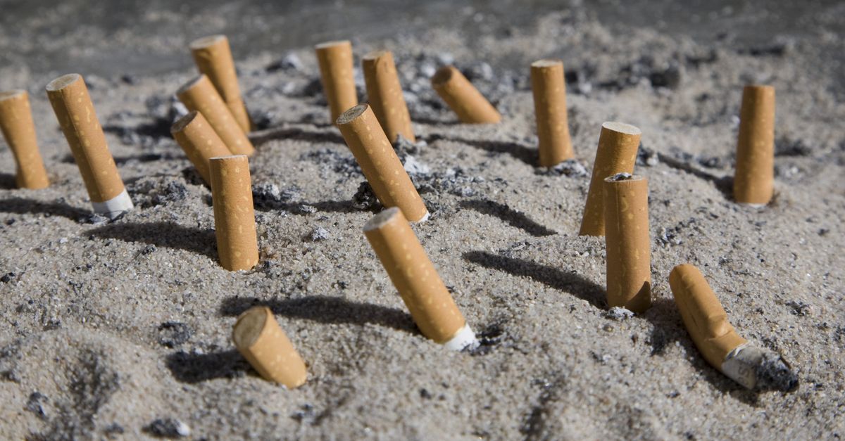 Roken verboden vanaf dit weekend op deel van strand Scheveningen ...