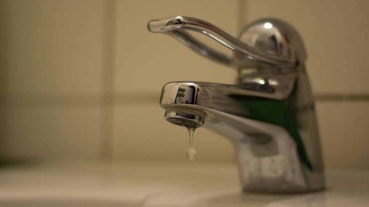 Officieel watertekort door droogte, dit kun je doen om water te ...