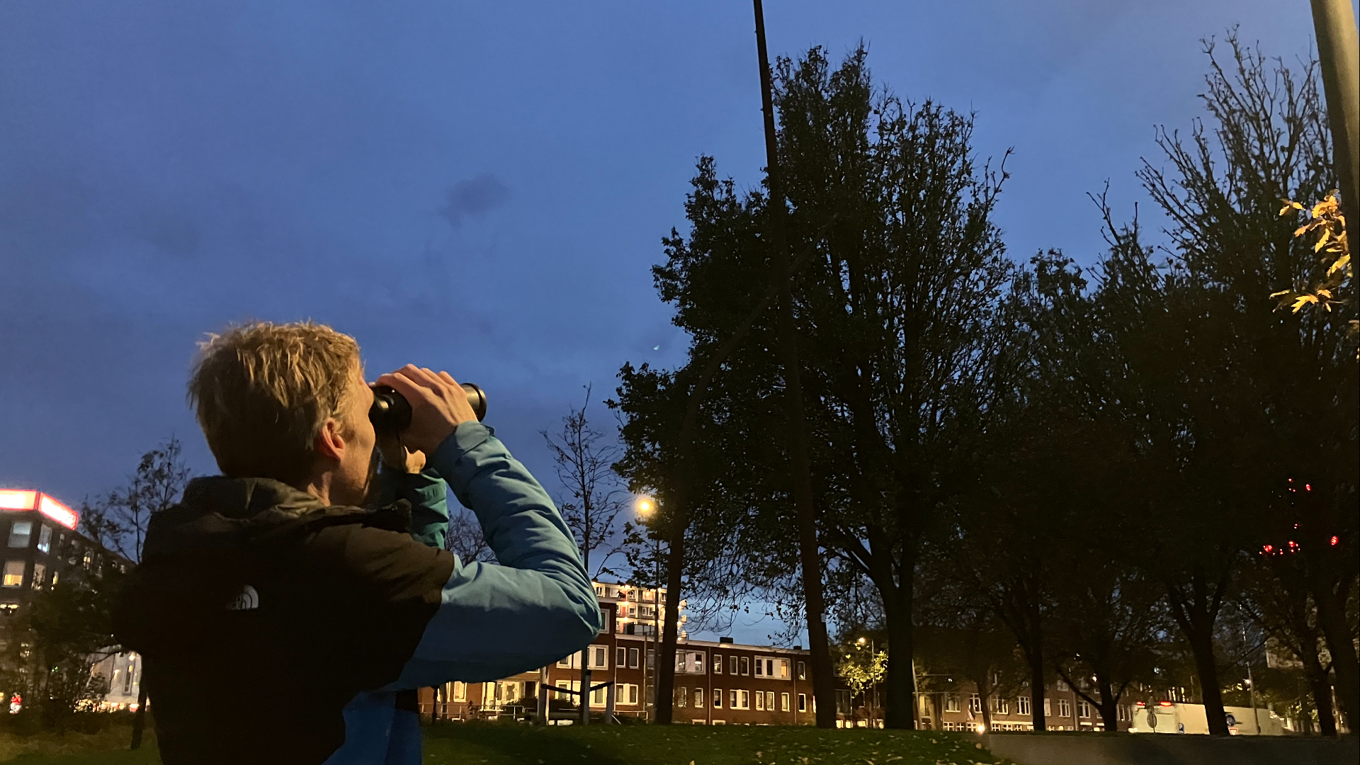 Dit is waarom je duizenden exotische halsbandparkieten in Rotterdam ...