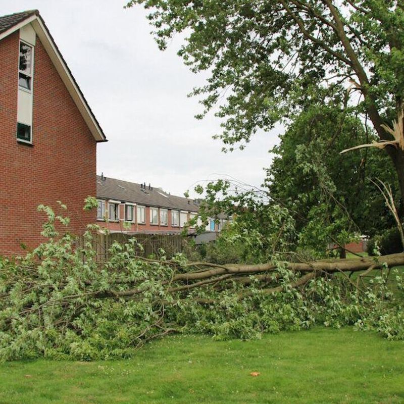 Stormschade op verschillende plekken in Overijssel door harde wind - Oost