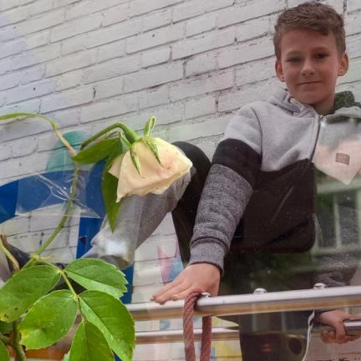 Onderzoek naar Gino-verdachte Donny M. bijna klaar - L1 Nieuws