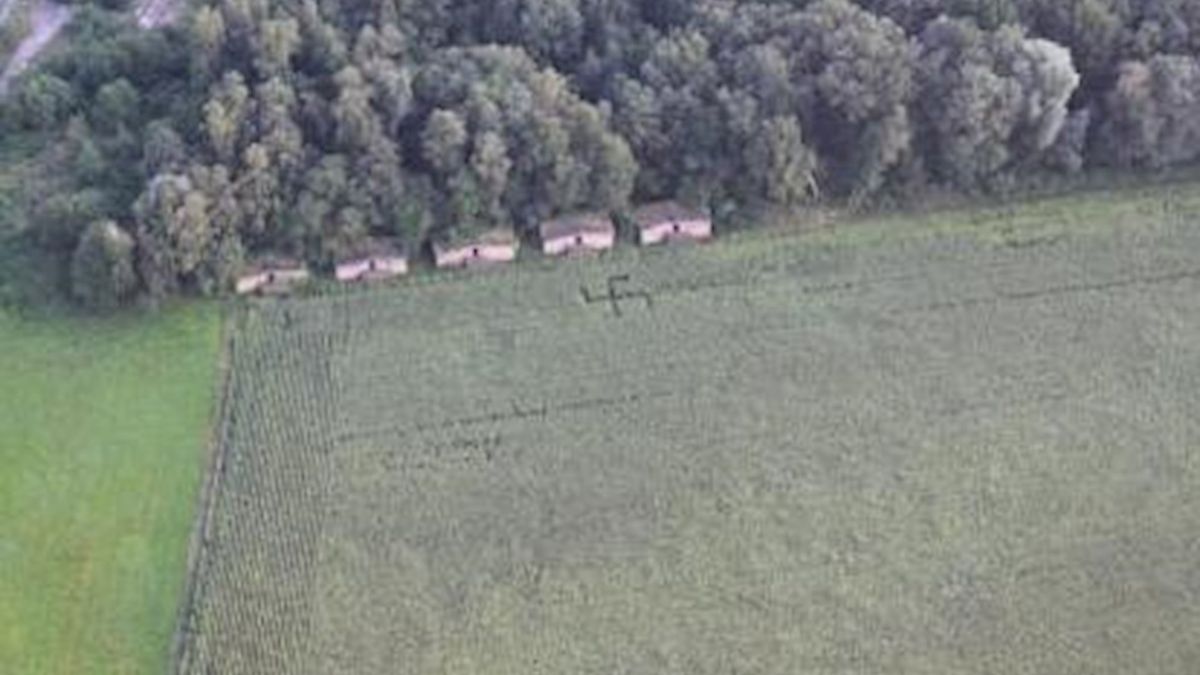 Hakenkruis in maisveld Enschede - Oost