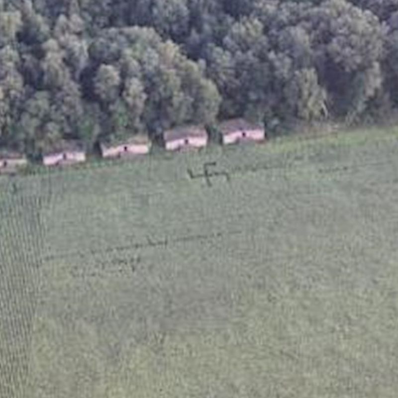 Hakenkruis in maisveld Enschede - Oost