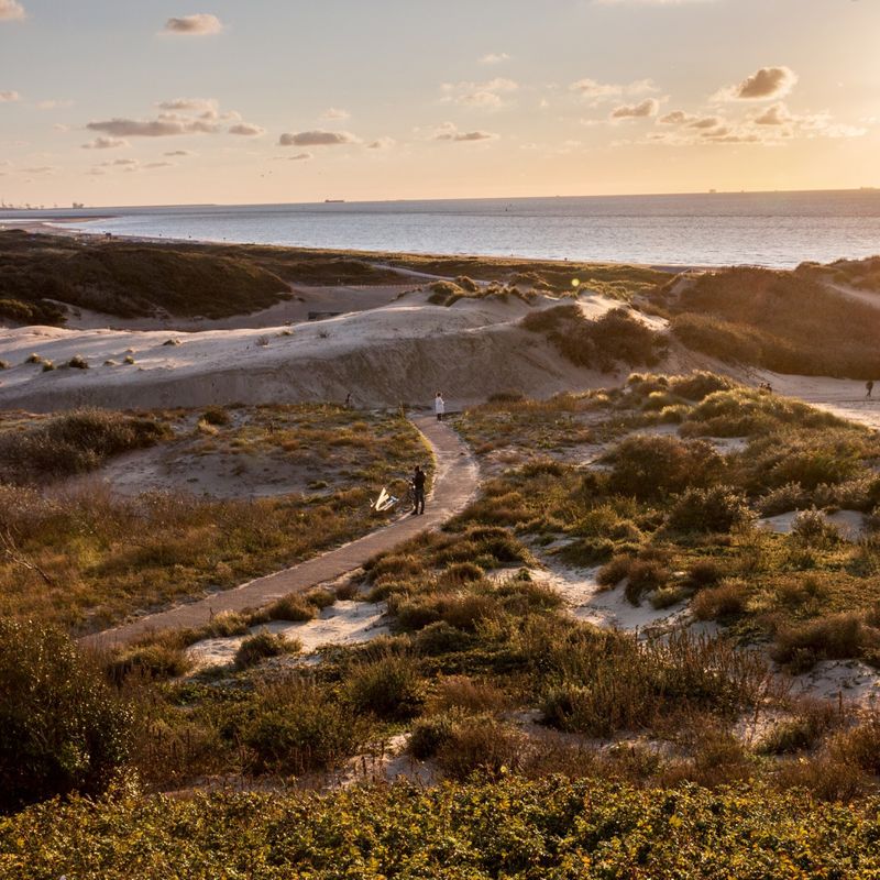 Verdwijnt Scheveningen achter de duinen? Den Haag bereidt zich voor op stijging zeespiegel - Den ...