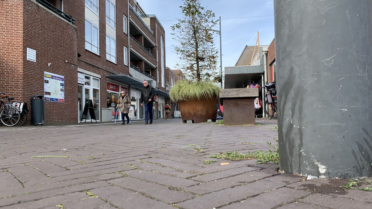 Honden plassen tegen winkels en poepen op de straat - L1 Nieuws
