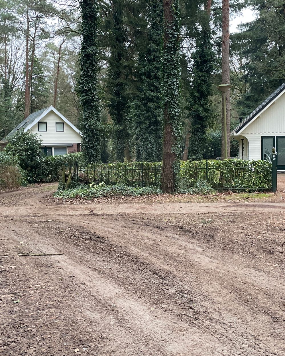 Hoe krijgt Noordenveld alle neuzen dezelfde kant op in de Norger bossen ...