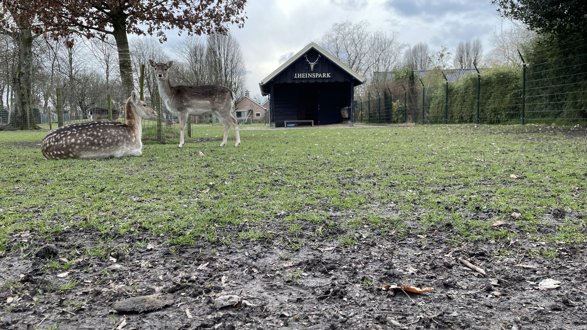 Signaal aan Den Haag, ondanks verdeeldheid over Noordenveldse ...