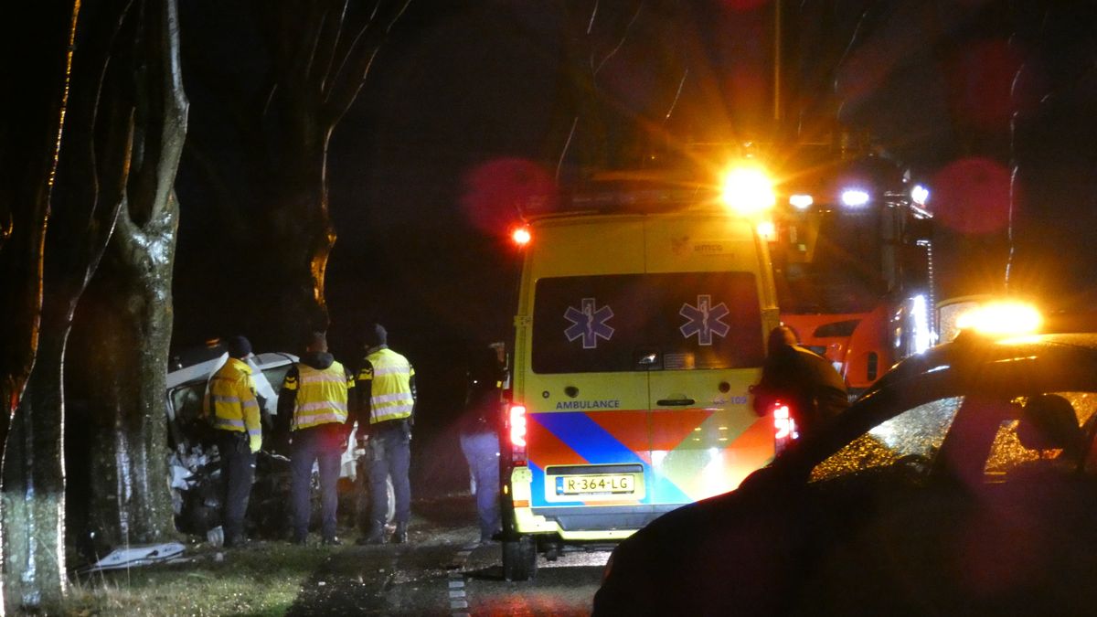 Auto botst tegen boom in Drijber, bestuurder raakt zwaargewond - RTV ...