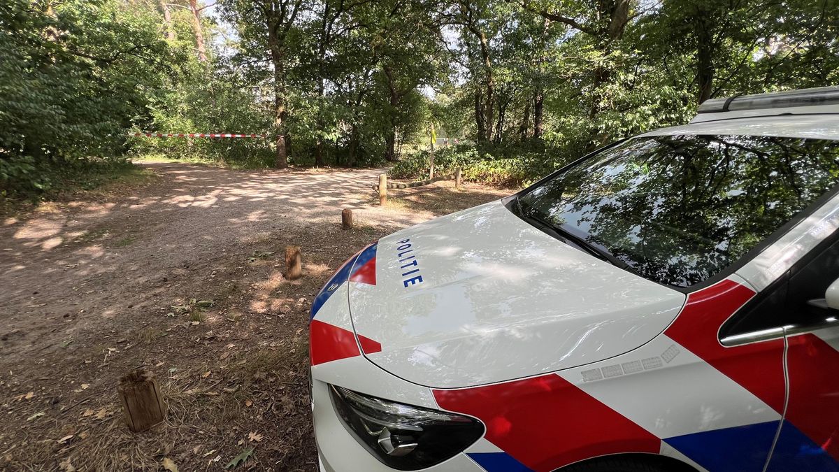 Camerabeelden leiden tot arrestatie zedenzaak Zeist: 'Het is echt een laatste redmiddel' - Oozo.nl