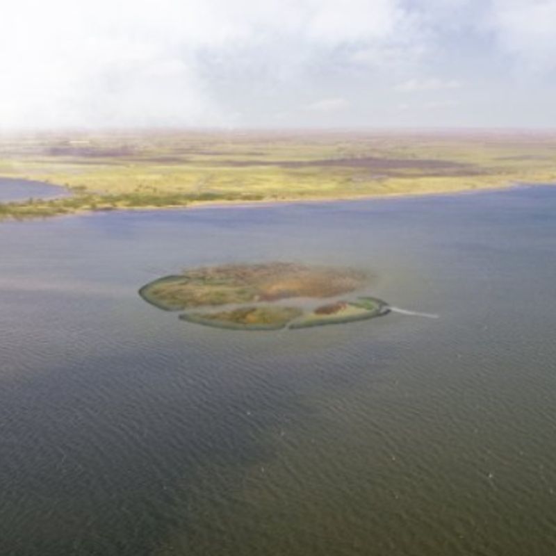 Nieuw vogeleiland Haringvliet heet Bliek - Rijnmond