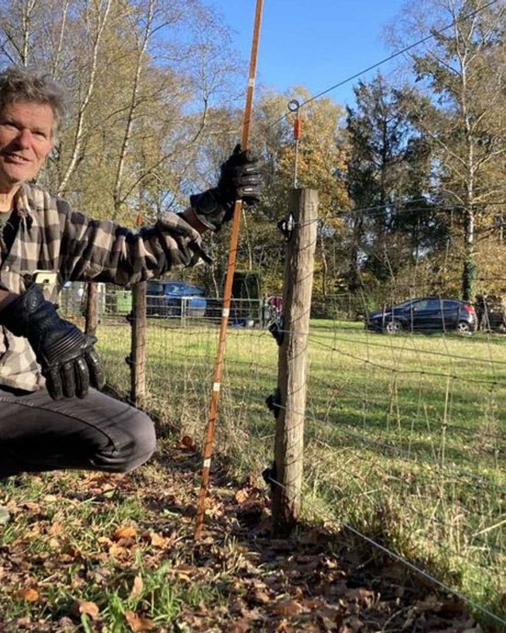 Ieder dood schaap door wolf te voorkomen 'met juiste omheining ...