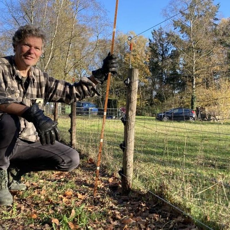 Ieder dood schaap door wolf te voorkomen 'met juiste omheining ...