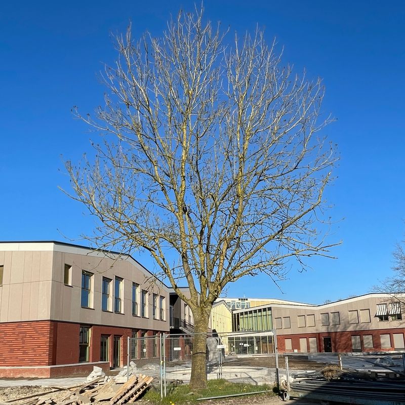 Hogelandster politiek ontsteld over nieuwe tegenvaller MFA de Tirrel ...