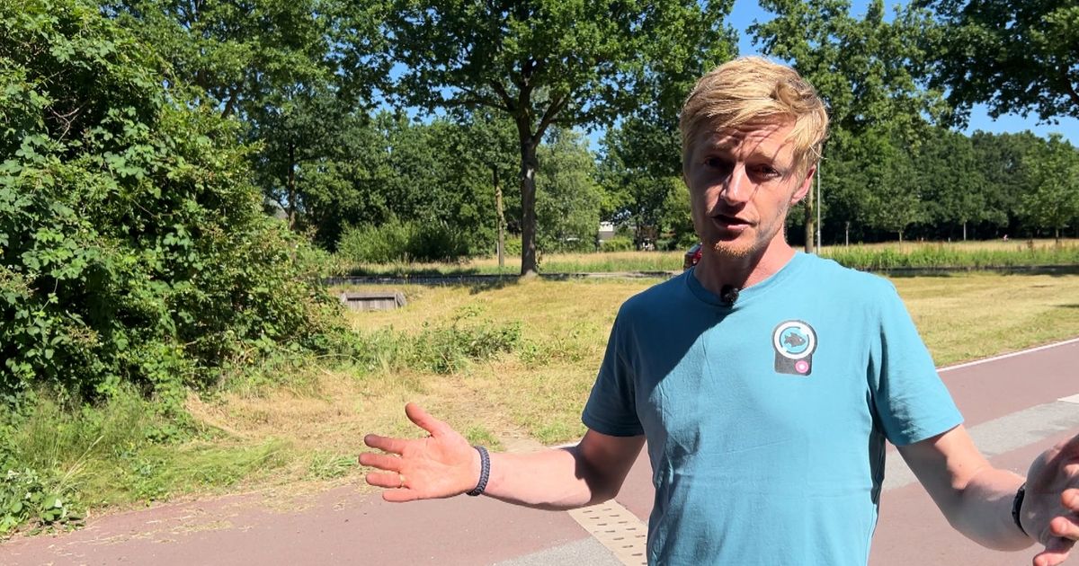 Mark geeft Utrechtse visdeurbel een vervolg met marters en vossen in ...