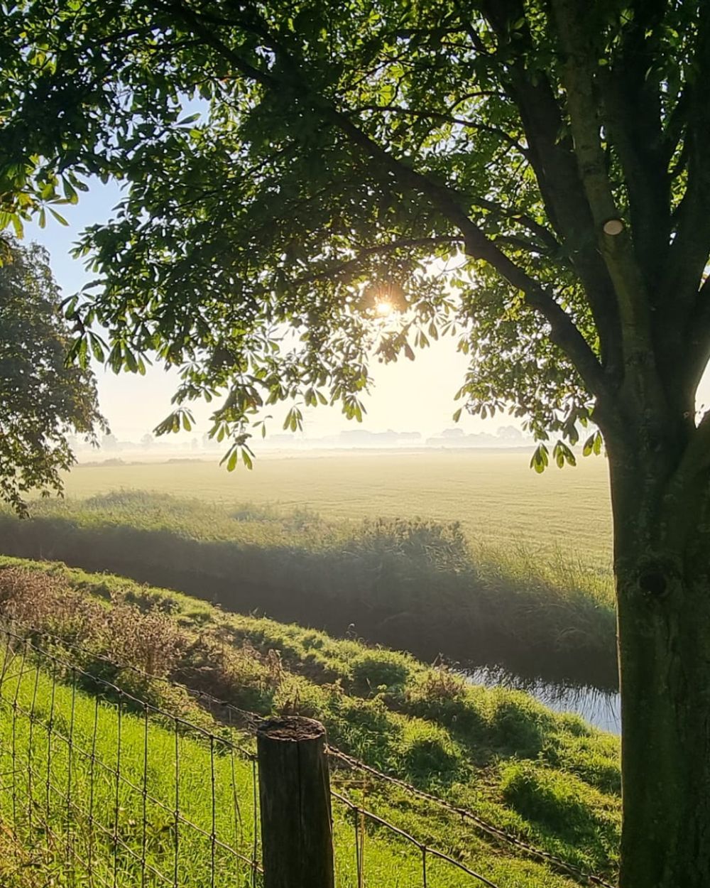 Hou vol! Na deze natte herfstdagen komt de zonnige nazomer terug - Rijnmond