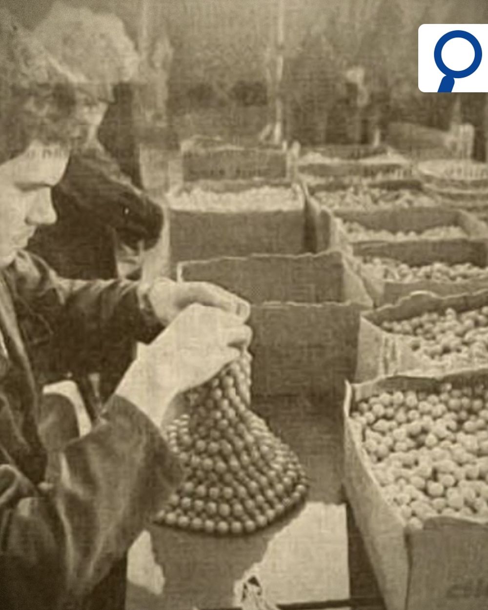 Deze dag: Opkomst en ondergang van Clickets - RTV Noord