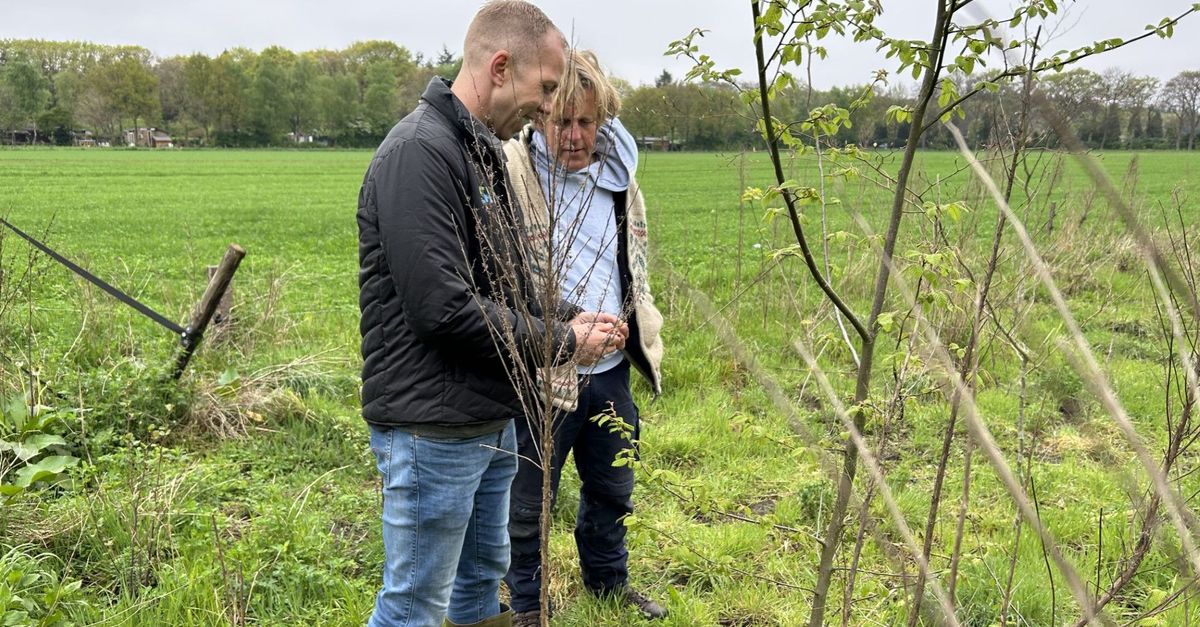 Diederick maakt nieuwe natuur in stapjes, en dat kan jij ook! - Omroep ...