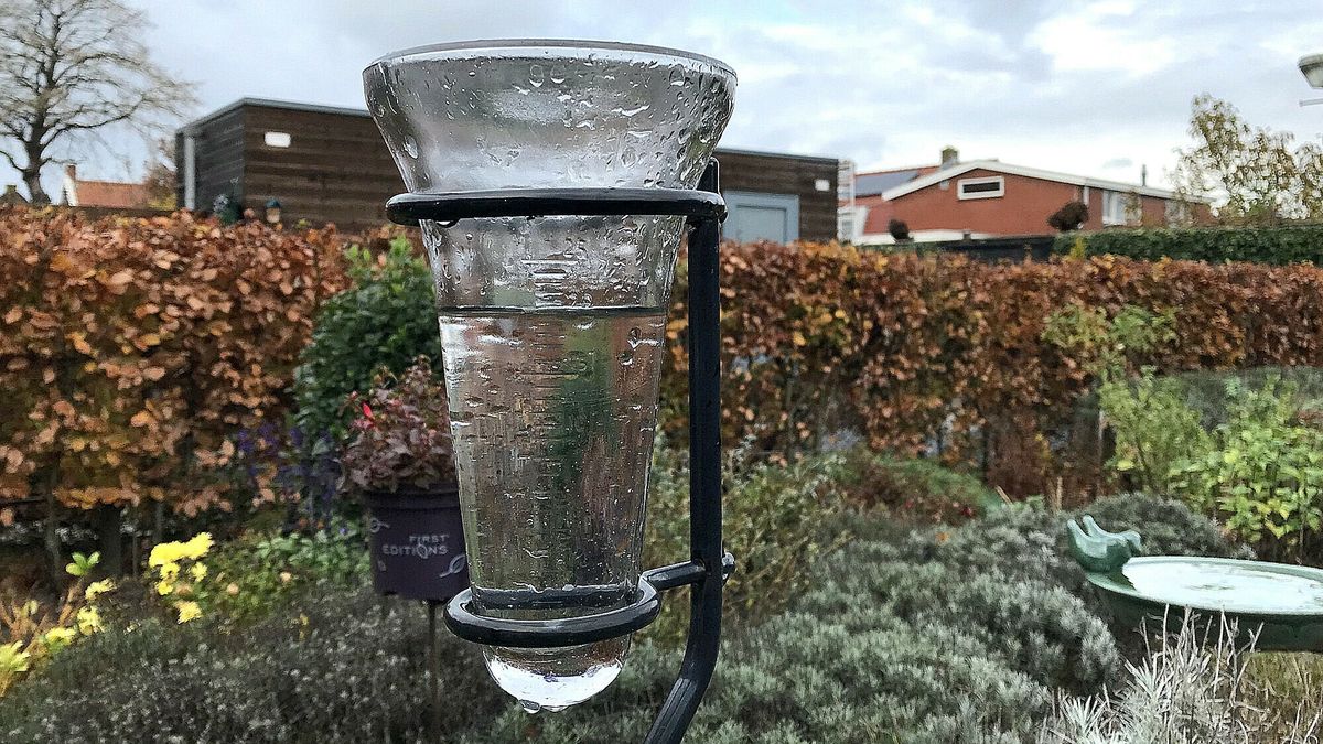 Kletsnat jaar volgens regenstandverzamelaars: 'Een slokje meer dan ...