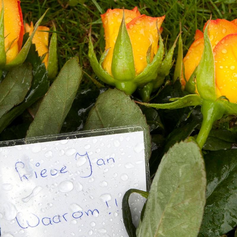 Deal tussen kroongetuige zwembadmoord en OM nader onderzocht - RTV Drenthe