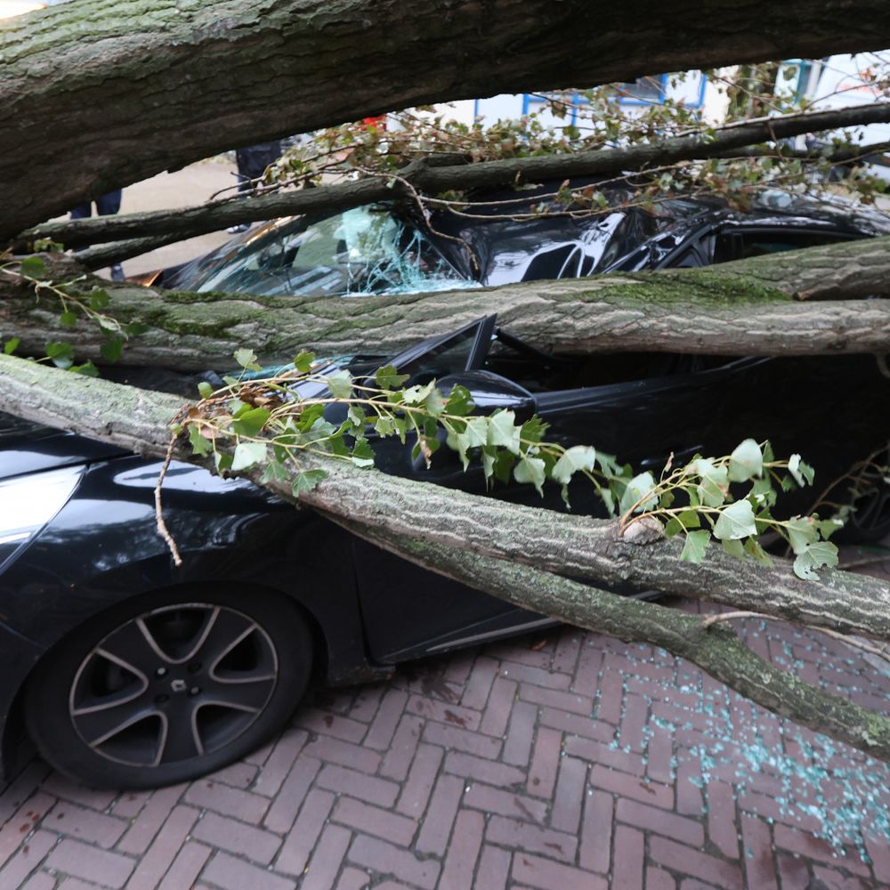 Storm Ciarán | Boom waait op voetganger - Schade aan auto's door bomen en glasplaten - Omroep West