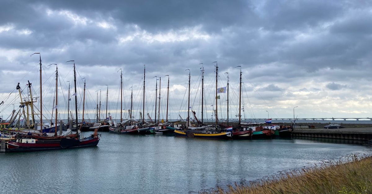Bietentocht vaart haar 26e editie, 'Het was een heerlijke dag vandaag ...