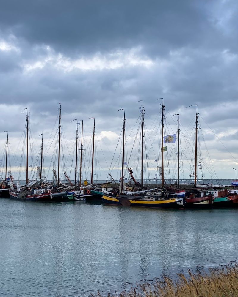 Bietentocht vaart haar 26e editie, 'Het was een heerlijke dag vandaag ...