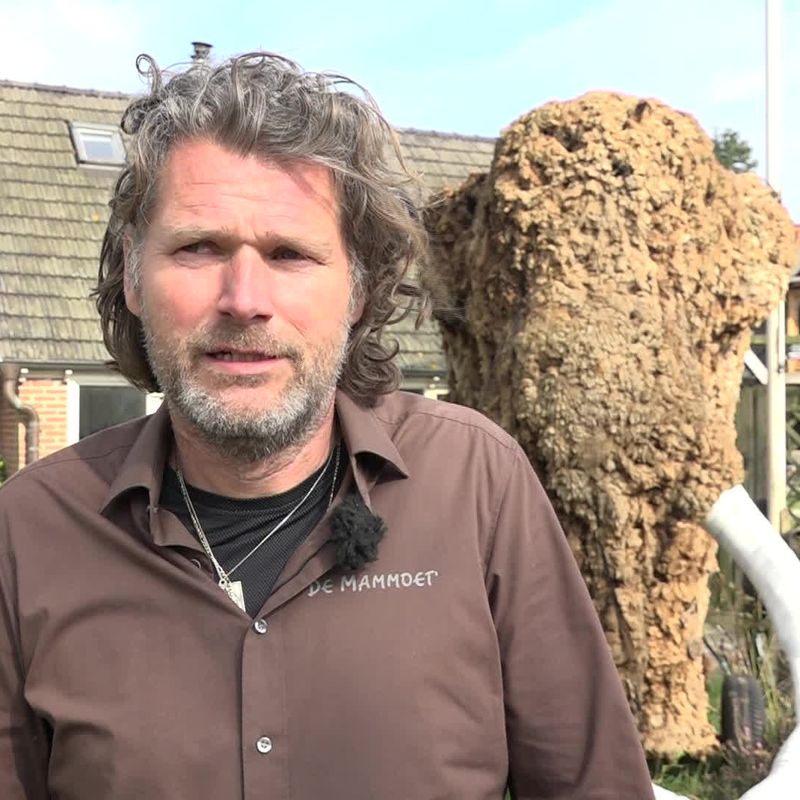 Paasvuur Erica gaat niet door - RTV Drenthe