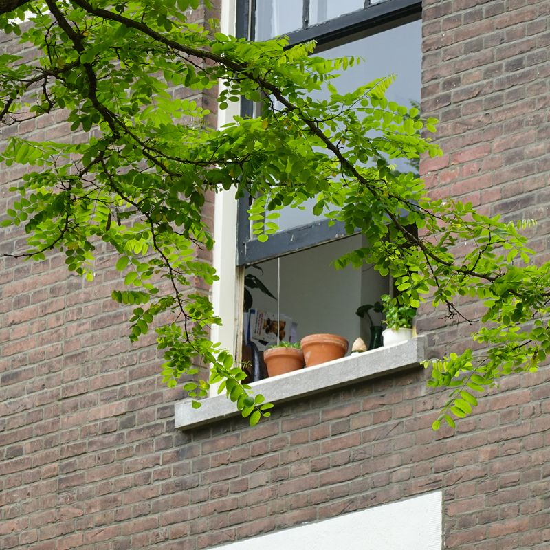 Huisbaas moet huurders duizenden euro’s terugbetalen - Rijnmond