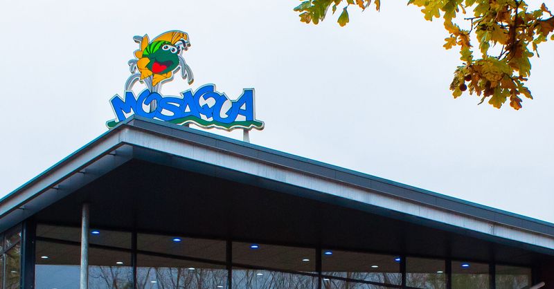 Zwembad Mosaqua wil zelf faillissement aanvragen - L1 Nieuws