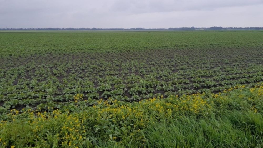 Plannen voor natuur en landbouw zijn na twee jaar klaar, maar geld ...