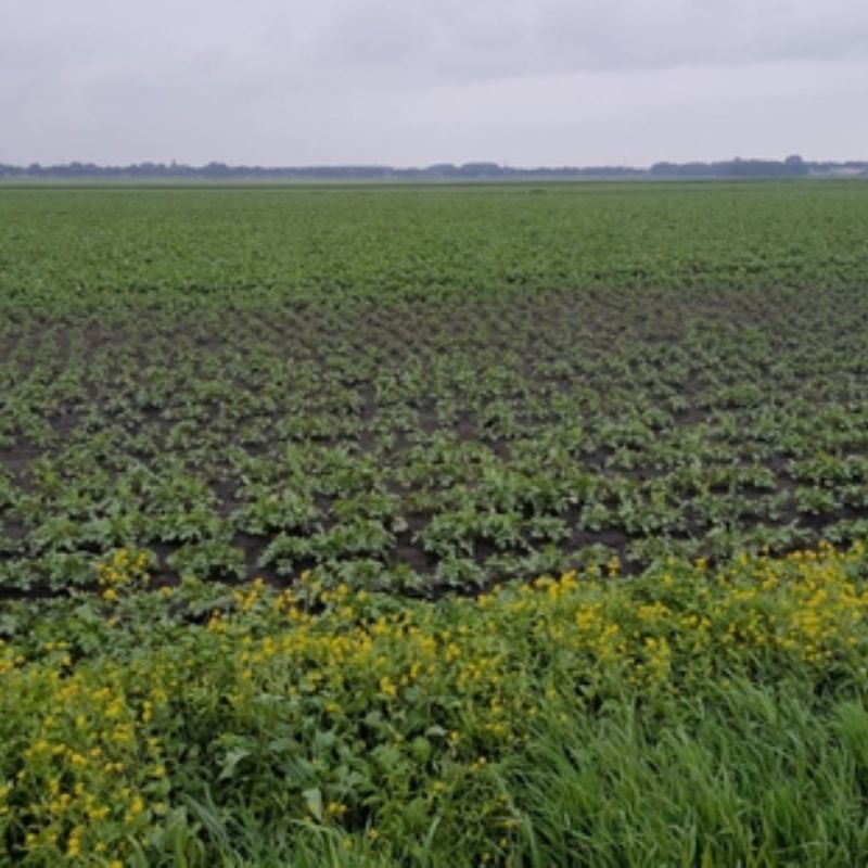 Plannen voor natuur en landbouw zijn na twee jaar klaar, maar geld ...