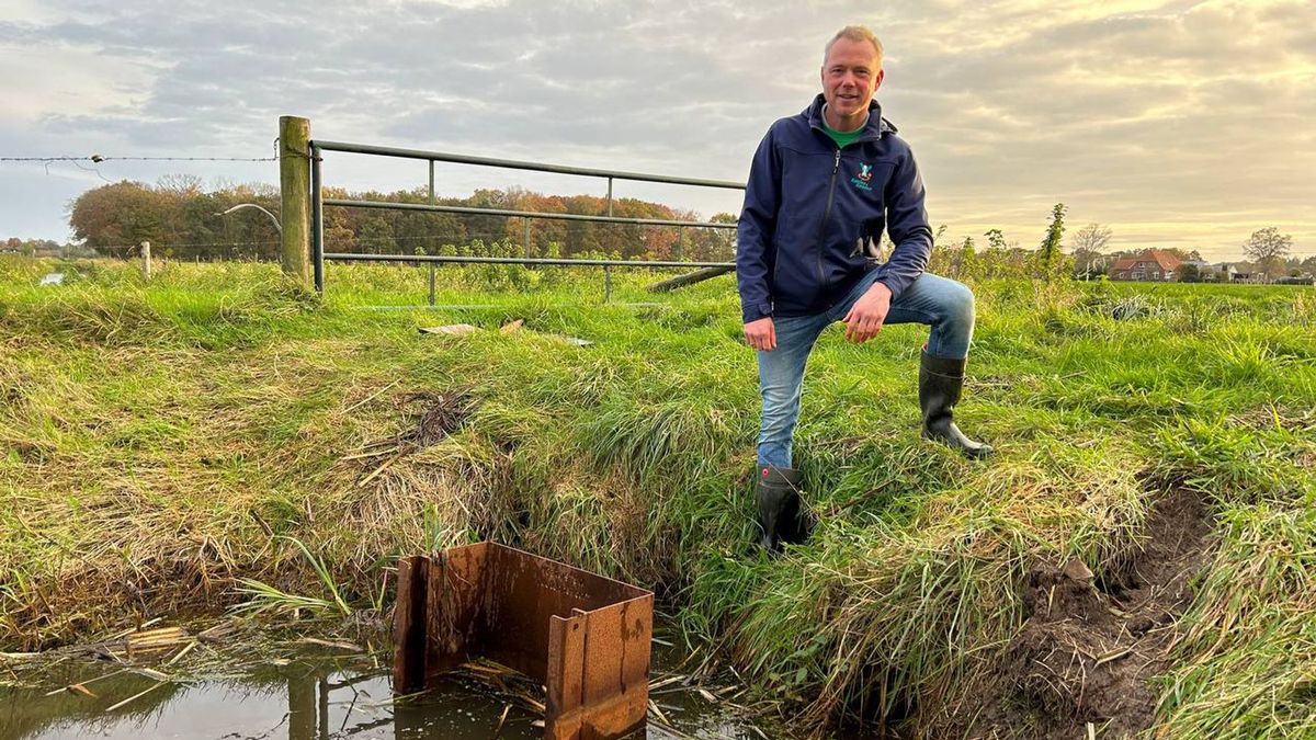 Boer Geert regelt zelf het water: "Belangrijk voor mijn gras" - Oost