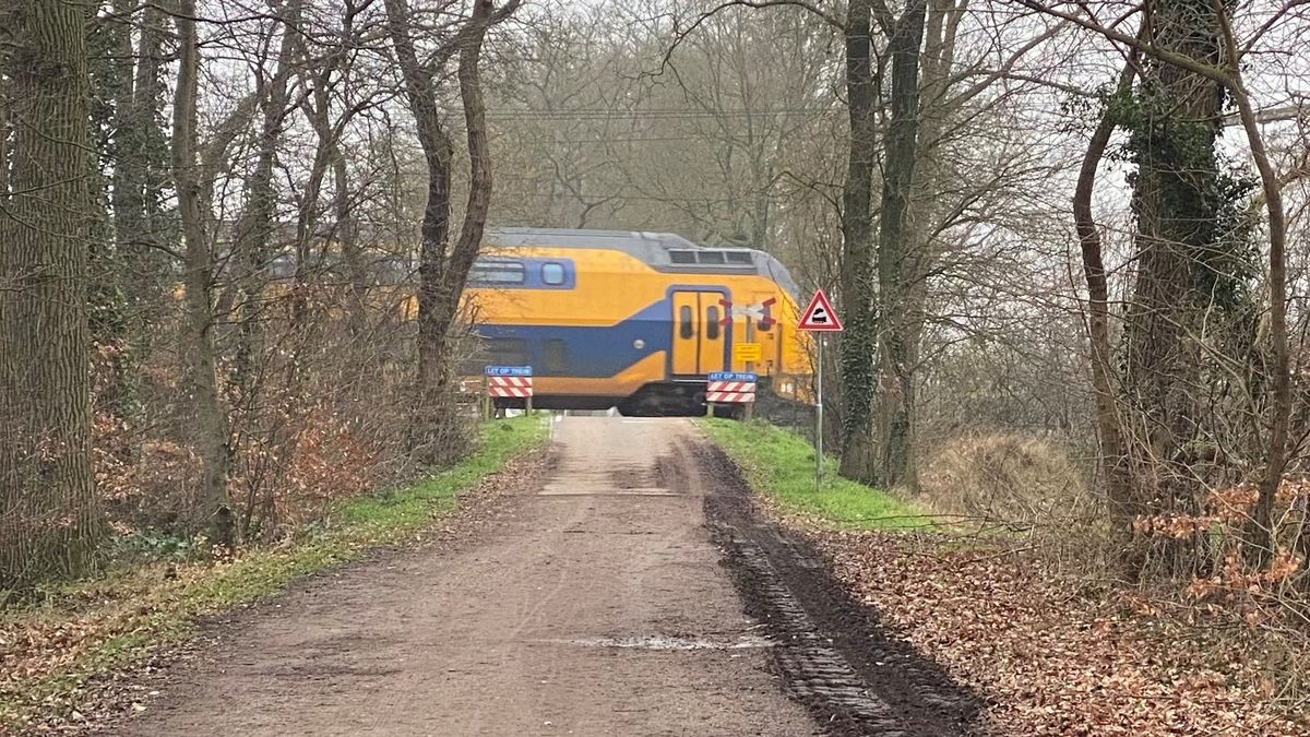 Poelkikker zit dwars: oplossing onveilige spoorwegovergangen in ...
