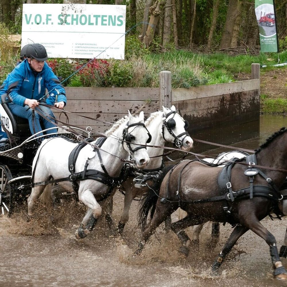 Vierspan-menner Joris Wouda (18): 'Ik hou 24 uur per dag rekening met ...