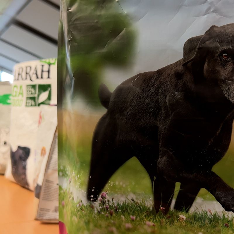 Dierenasiel Harmelen maakt boodschappentas van voerzak om geld op te ...