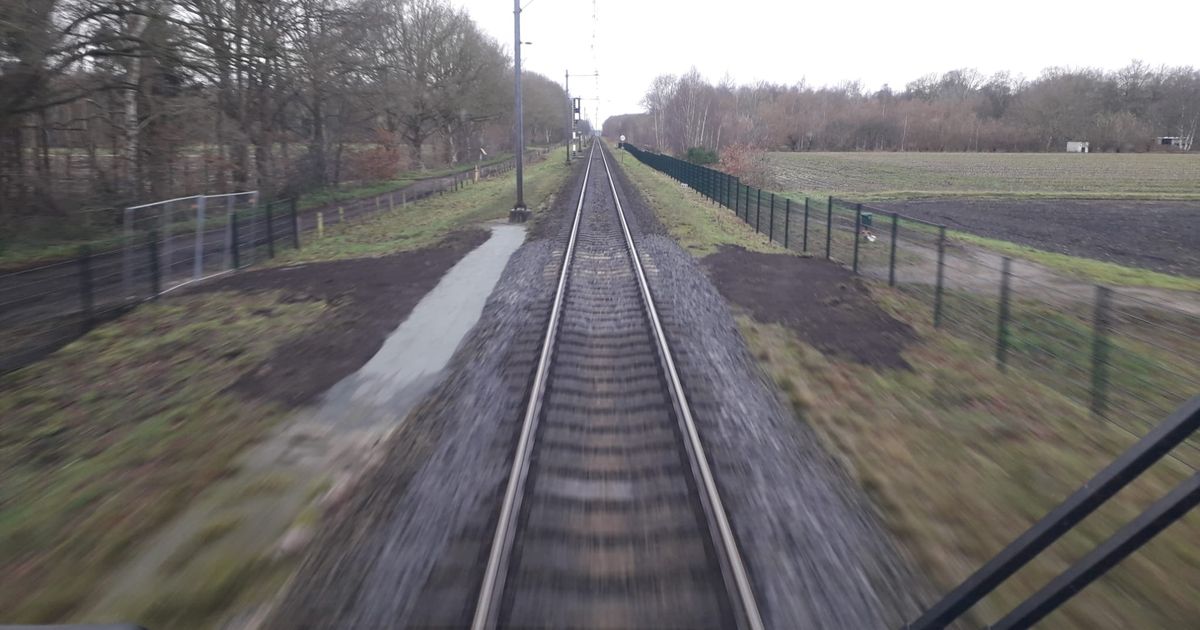 Gevaarlijke onbewaakte overweg bij Nieuw-Amsterdam weggehaald - RTV Drenthe