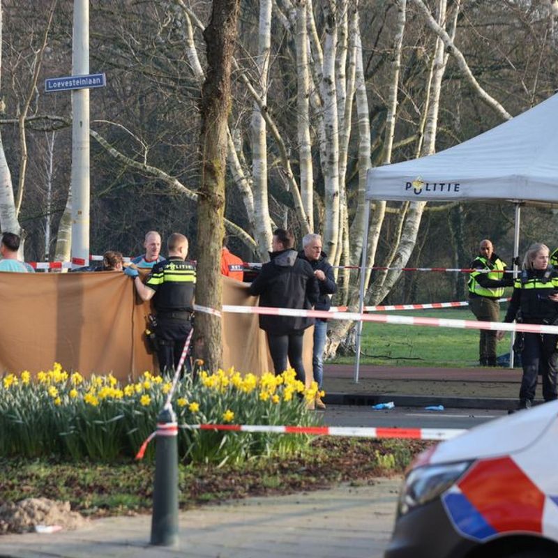 Geen straf voor moord op buurman, wél tbs met dwangverpleging: 'Ik heb hulp nodig' - Den Haag FM