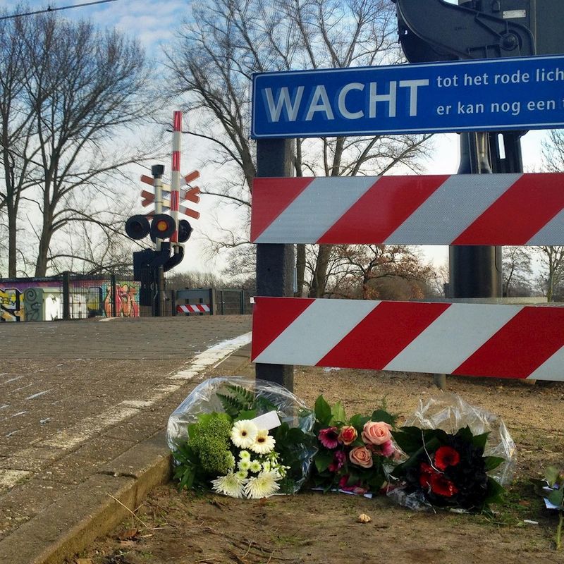 Meisje Staphorst won prijs met gedicht over pesten - Oost