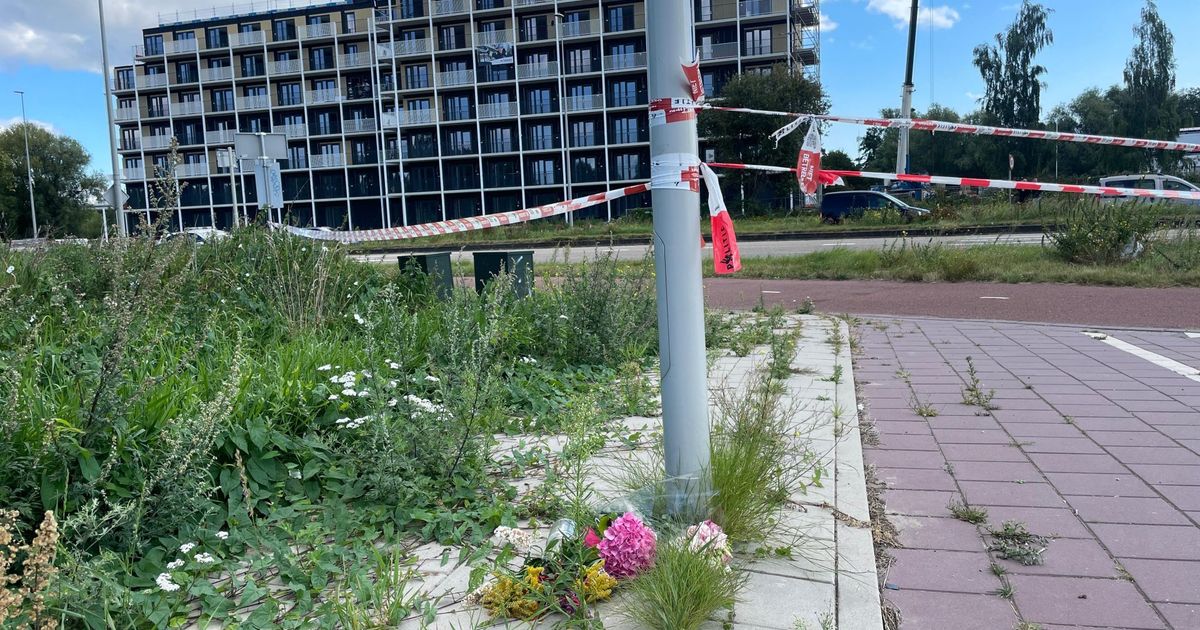 Familie omgebrachte Lisa (17) uit Abcoude: 'Onze harten zijn gebroken' - RTV Utrecht