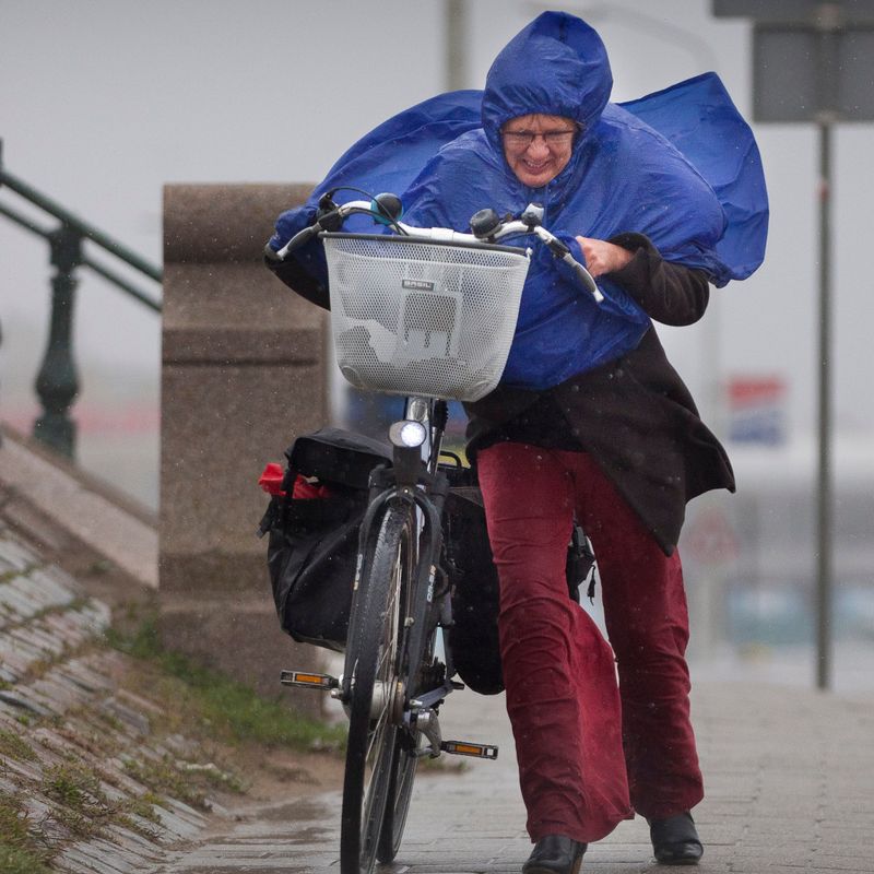 Zware windstoten en buien op komst, KNMI waarschuwt - Omroep West Zware windstoten en buien op komst, KNMI waarschuwt - Omroep West